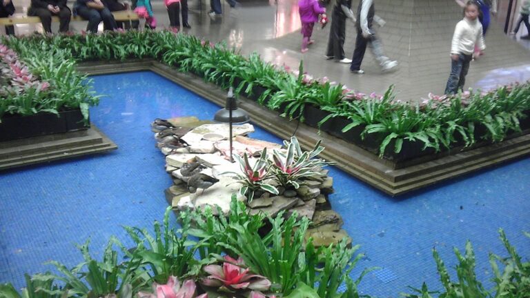 NorthPark Center Mall In Dallas, TX: Six Decades Of Growth And Change ...
