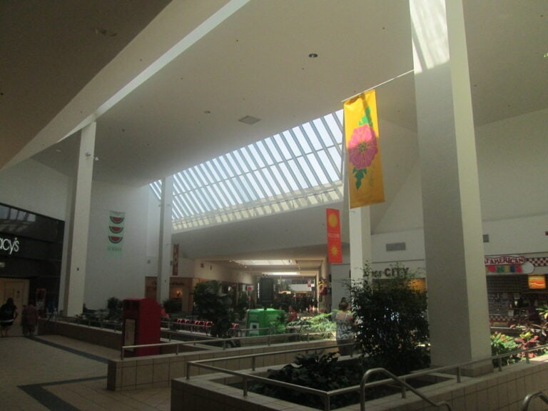 Arnot Mall, Big Flats, NY: From Peak Years To New Realities ...