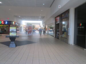 Arnot Mall, Big Flats, NY: From Peak Years To New Realities ...