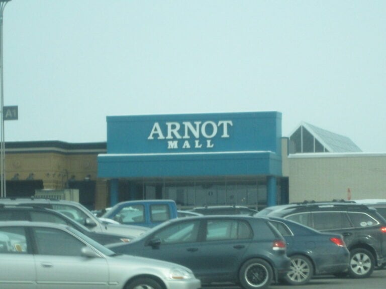Arnot Mall, Big Flats, NY: From Peak Years To New Realities ...