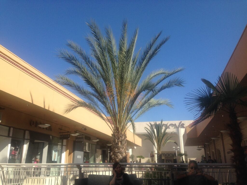 Retail To Residences At Fashion Valley Mall In San Diego, CA ...