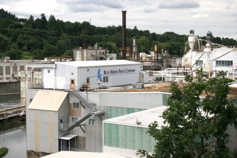 Blue Heron Paper Mill In Oregon: What It Was, What's Left, And What's ...