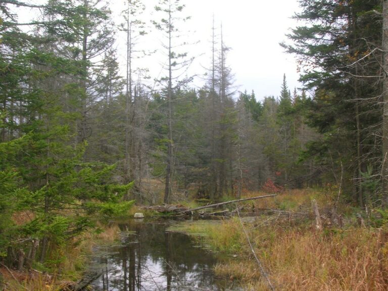 Dark History And Strange Legends Of The Bennington Triangle Near ...