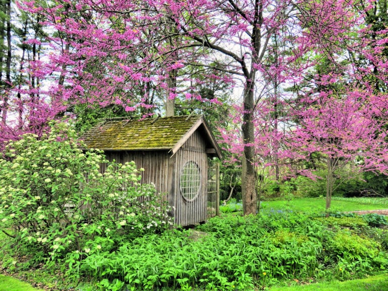 Fabyan Forest Preserve: Geneva, IL's Best-Kept Secret - BestAttractions