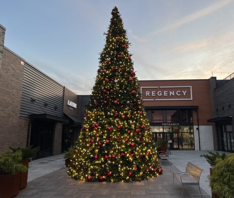 Regency Mall In Richmond, VA, Lost Its Stores But Kept The Lights On ...
