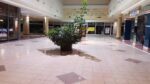 From Grand Opening To Bulldozers: Real Story Of ShoppingTown Mall ...