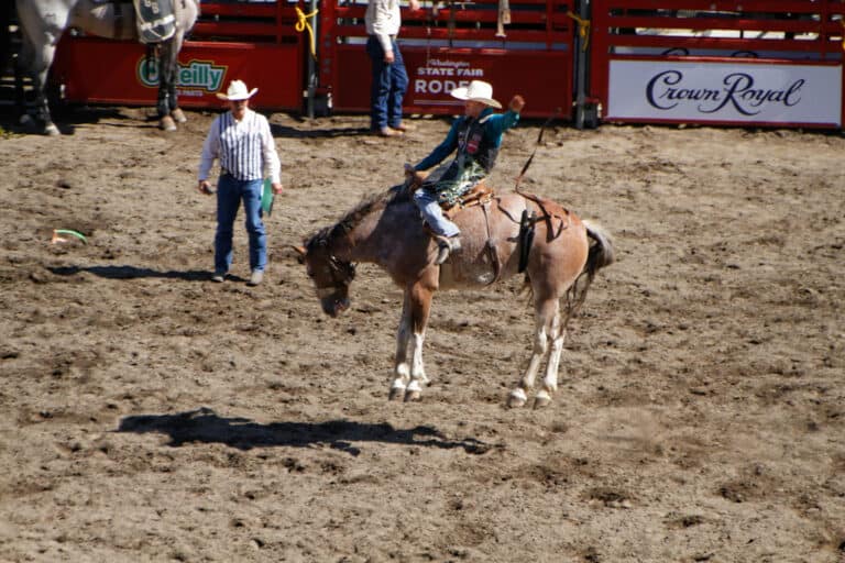 Washington State Fair, Puyallup, WA: Magic Behind The Pacific Northwest ...